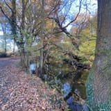 Finchampstead Ridges and Blackwater Valley Circular, Berkshire, England ...