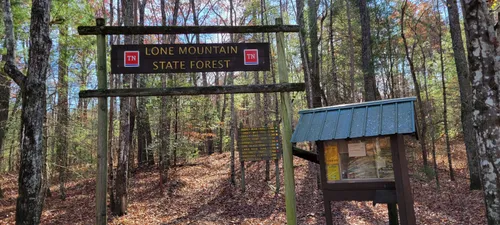 Best Hikes and Trails in Lone Mountain State Forest | AllTrails