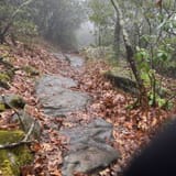 Blood Mountain Loop via Slaughter Creek Trail, Georgia - 649 Reviews ...