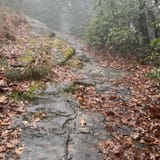 Blood Mountain Loop via Slaughter Creek Trail, Georgia - 649 Reviews ...