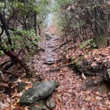 Blood Mountain Loop via Slaughter Creek Trail, Georgia - 649 Reviews ...