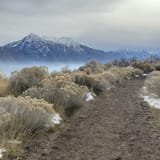 Alien Tower via Deer Ridge Trailhead, Utah - 1,036 Reviews, Map | AllTrails
