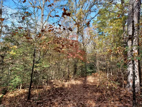 Best Hikes and Trails in Poison Springs Battleground State Park | AllTrails Best Hikes and Trails in Poison Springs Battleground State Park | AllTrails