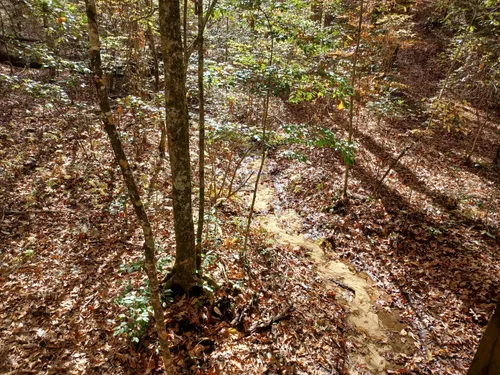 Best Hikes and Trails in Poison Springs Battleground State Park | AllTrails Best Hikes and Trails in Poison Springs Battleground State Park | AllTrails