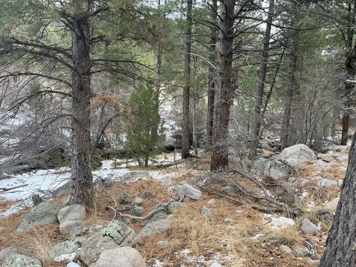 Best Hikes and Trails in Pine Valley Recreation Area (USFS) | AllTrails