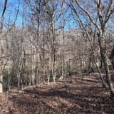 Lake Rabon Park Loop, South Carolina - 125 Reviews, Map | AllTrails