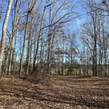 Lake Rabon Park Loop, South Carolina - 125 Reviews, Map | AllTrails