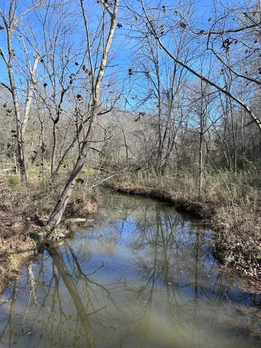 Best Hikes and Trails in Lake Rabon Park | AllTrails