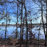 Lake Rabon Park Loop, South Carolina - 125 Reviews, Map | AllTrails