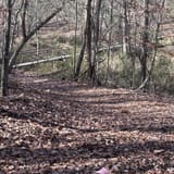 Lake Rabon Park Loop, South Carolina - 125 Reviews, Map | AllTrails