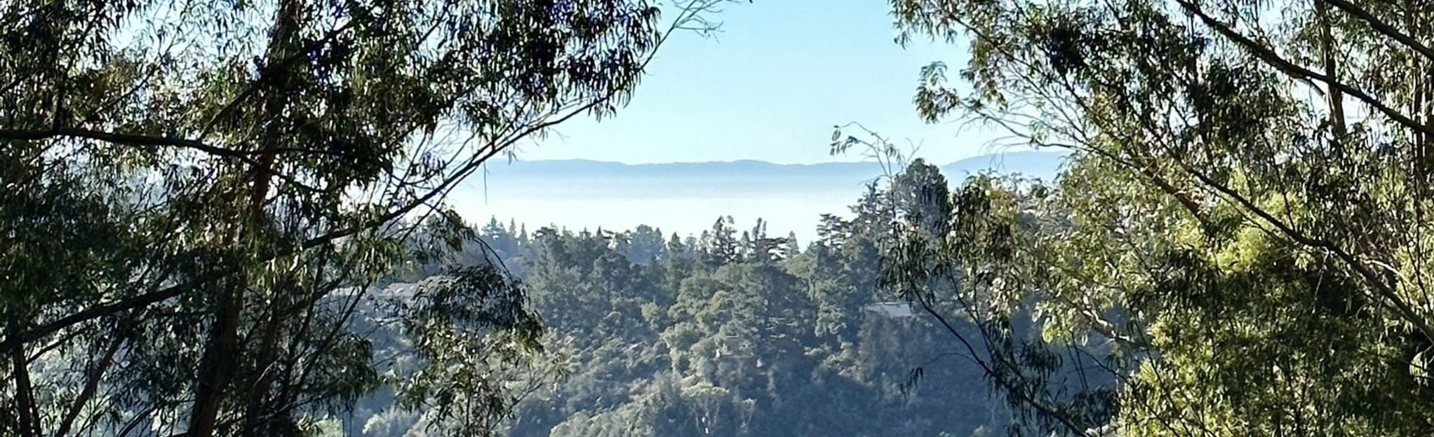 Overlook and Round Top Loop, California - 1,381 Reviews, Map | AllTrails