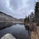 Cub Lake Loop, Colorado - 1,902 Reviews, Map | AllTrails