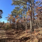 Mill Creek OHV Trail Loop, Arkansas - 106 Reviews, Map | AllTrails