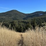 Beaver Brook and Beaver Brook Watershed Loop, Colorado - 827 Reviews ...