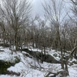 Spruce Hill via Hoosac Range Trail, Massachusetts - 616 Reviews, Map ...
