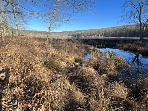 Best Waterfall Trails in Sandyston Township | AllTrails