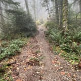High Point Trail, Washington - 197 Reviews, Map | AllTrails