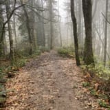 High Point Trail, Washington - 197 Reviews, Map | AllTrails