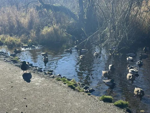 10 Best Trails and Hikes in Kent | AllTrails