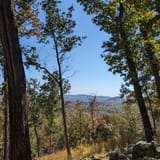Fall Mountain Trail, North Carolina - 1,030 Reviews, Map | AllTrails