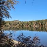 Fall Mountain Trail, North Carolina - 1,030 Reviews, Map | AllTrails