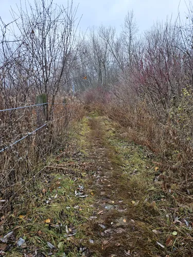 Best Hikes and Trails in East Point Park | AllTrails