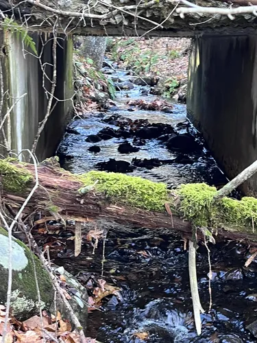Best Hikes and Trails in Ware River Watershed | AllTrails