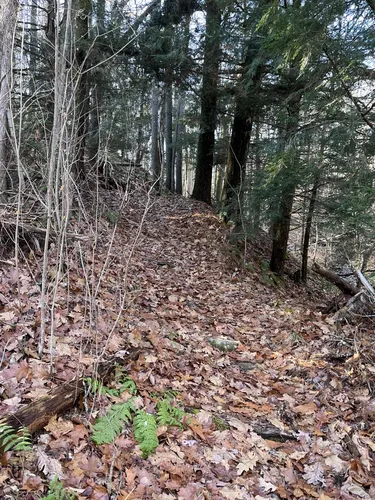 Best Hikes and Trails in Ware River Watershed | AllTrails