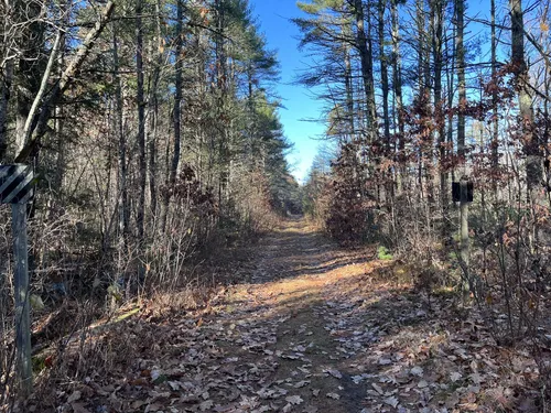 Best Hikes and Trails in Ware River Watershed | AllTrails