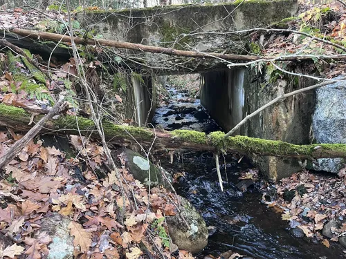 Best Hikes and Trails in Ware River Watershed | AllTrails