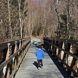 Limberlost Trail, Virginia - 842 Reviews, Map | AllTrails