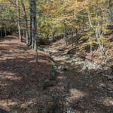 Fall Mountain Trail, North Carolina - 1,030 Reviews, Map | AllTrails