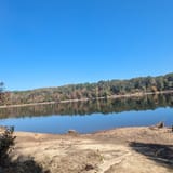 Fall Mountain Trail, North Carolina - 1,030 Reviews, Map | AllTrails