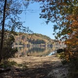Fall Mountain Trail, North Carolina - 1,030 Reviews, Map | AllTrails