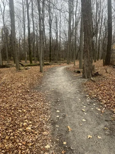 Best Hikes and Trails in Hamlin Beach State Park | AllTrails