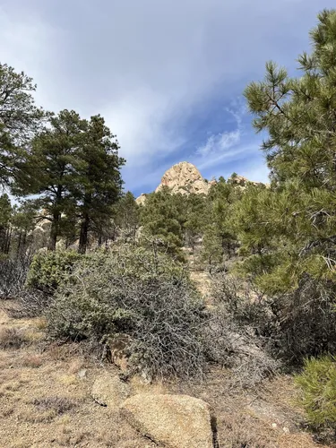 Best Hikes and Trails in Hualapai Mountain Park | AllTrails