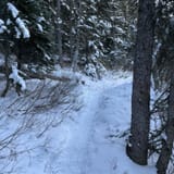 Fairview Lookout Loop, Alberta, Canada - 526 Reviews, Map | AllTrails