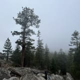 Castle Rock Loop Trail, Nevada - 1,856 Reviews, Map | AllTrails