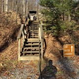Fort Hunter Conservancy Walk, Pennsylvania - 585 Reviews, Map | AllTrails