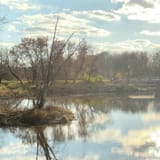 Van Patten Woods Forest Preserve Loop, Illinois - 751 Reviews, Map ...