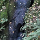 Chuckanut Falls, Washington - 549 Reviews, Map | AllTrails