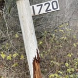 Iron Goat Trail, Washington - 1,375 Reviews, Map | AllTrails