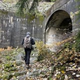Iron Goat Trail, Washington - 1,375 Reviews, Map | AllTrails