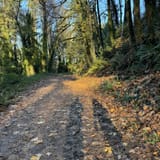 Maple and Wildwood Loop, Oregon - 863 Reviews, Map | AllTrails