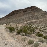 Frenchman Mountain Trail, Nevada - 1,215 Reviews, Map | AllTrails