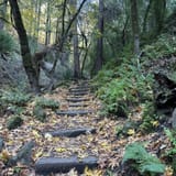 Canyon and Pony Gate Loop, California - 568 Reviews, Map | AllTrails