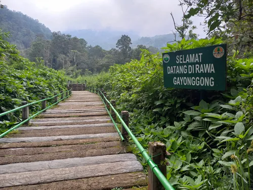 Best Waterfall Trails in Mount Gede Pangrango National Park | AllTrails