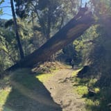 Canyon and Pony Gate Loop, California - 568 Reviews, Map | AllTrails