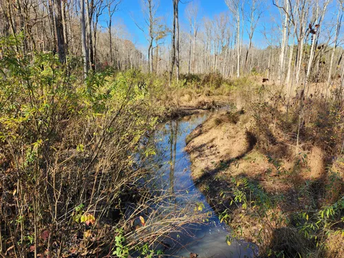 Best Hikes and Trails in Stevens Creek Nature Preserve | AllTrails