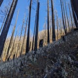 Oneonta Gorge Trail, Oregon - 701 Reviews, Map | AllTrails